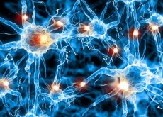 Voiko palleatyrää hoitaa? - Askel Terveyteen