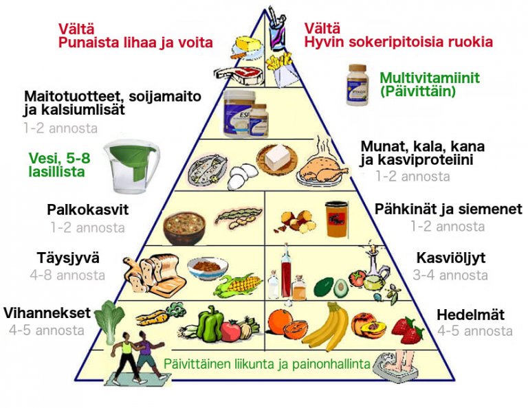 Tutustu Uuteen Ruokapyramidiin Ja Paranna Terveytt si Askel Terveyteen Tutustu Uuteen Ruokapyramidiin Ja Paranna Terveytt si Askel Terveyteen